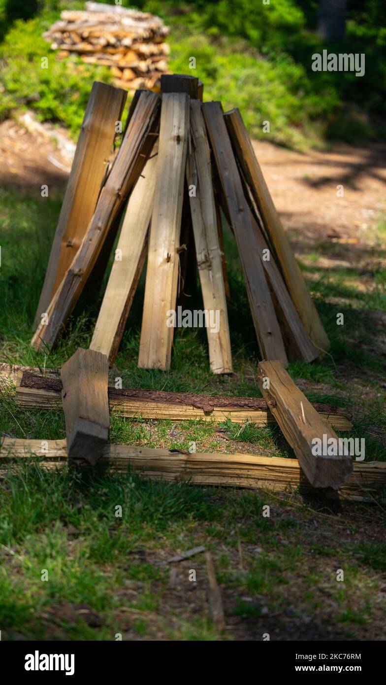 A vertical shot of campfire wood in the Black Forest, Germany Stock ...