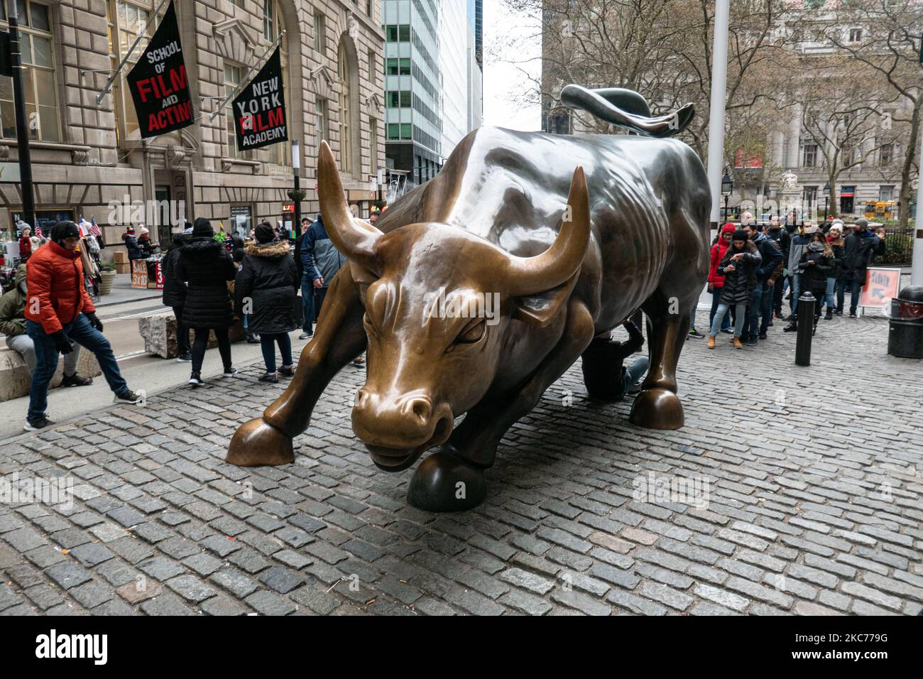 Take the bull by the horns hi-res stock photography and images - Alamy
