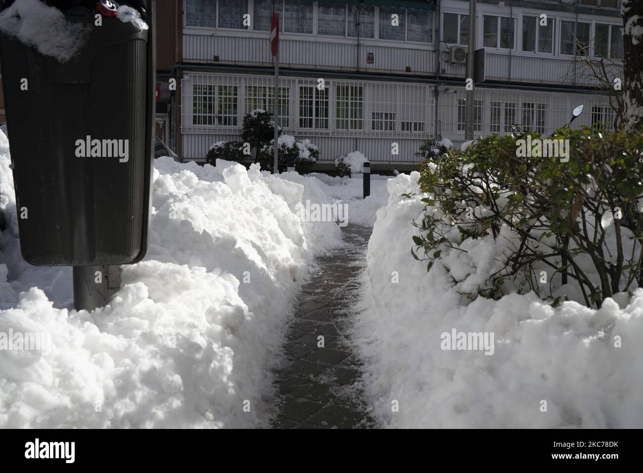 Damage caused by the storm Filomena in Madrid, Spain on 10 January ...