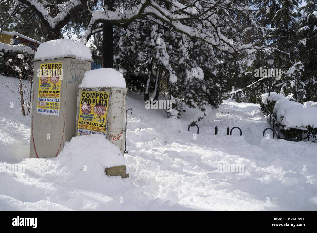 Damage caused by the storm Filomena in Madrid, Spain on 10 January ...