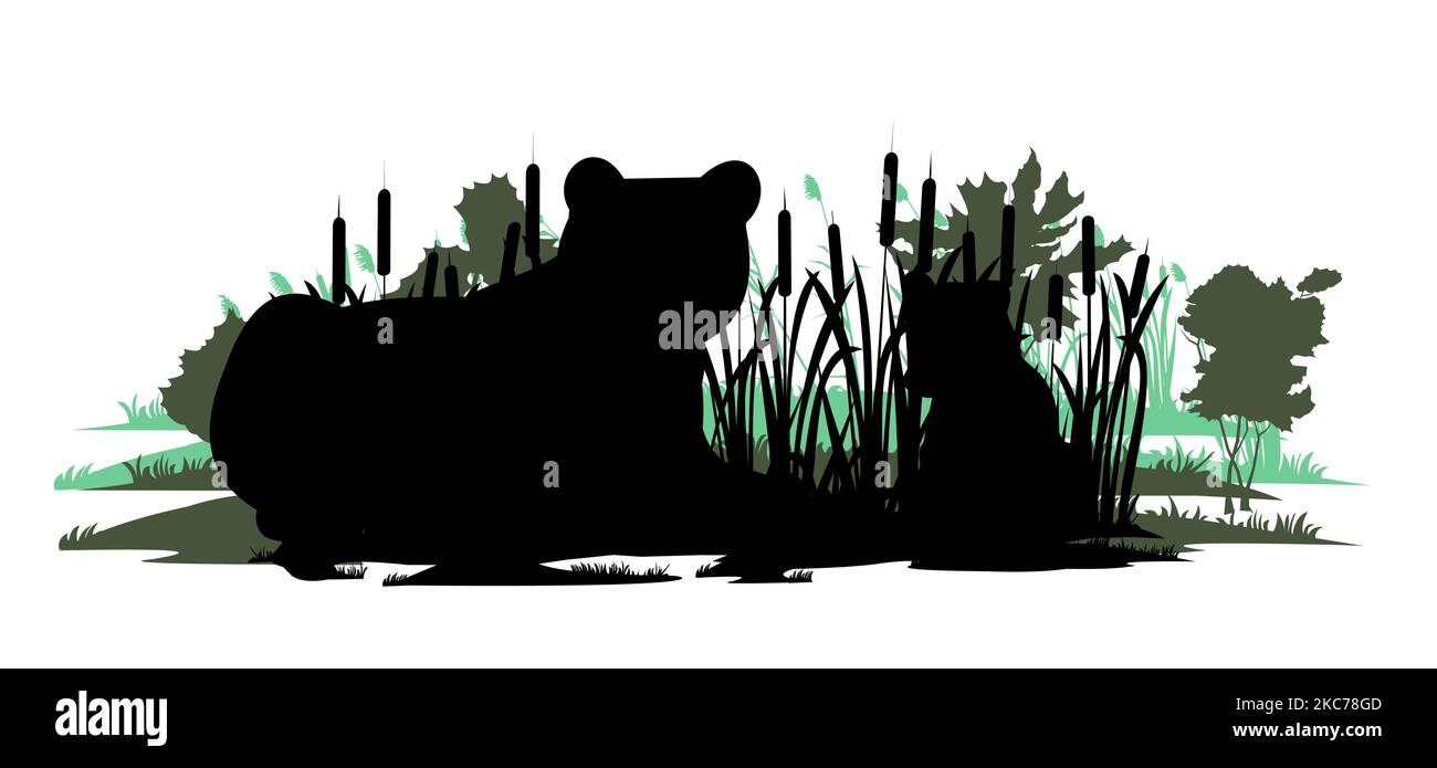 Mother bear with cub. Wild animals. Glade in swamp. Grass and reeds ...