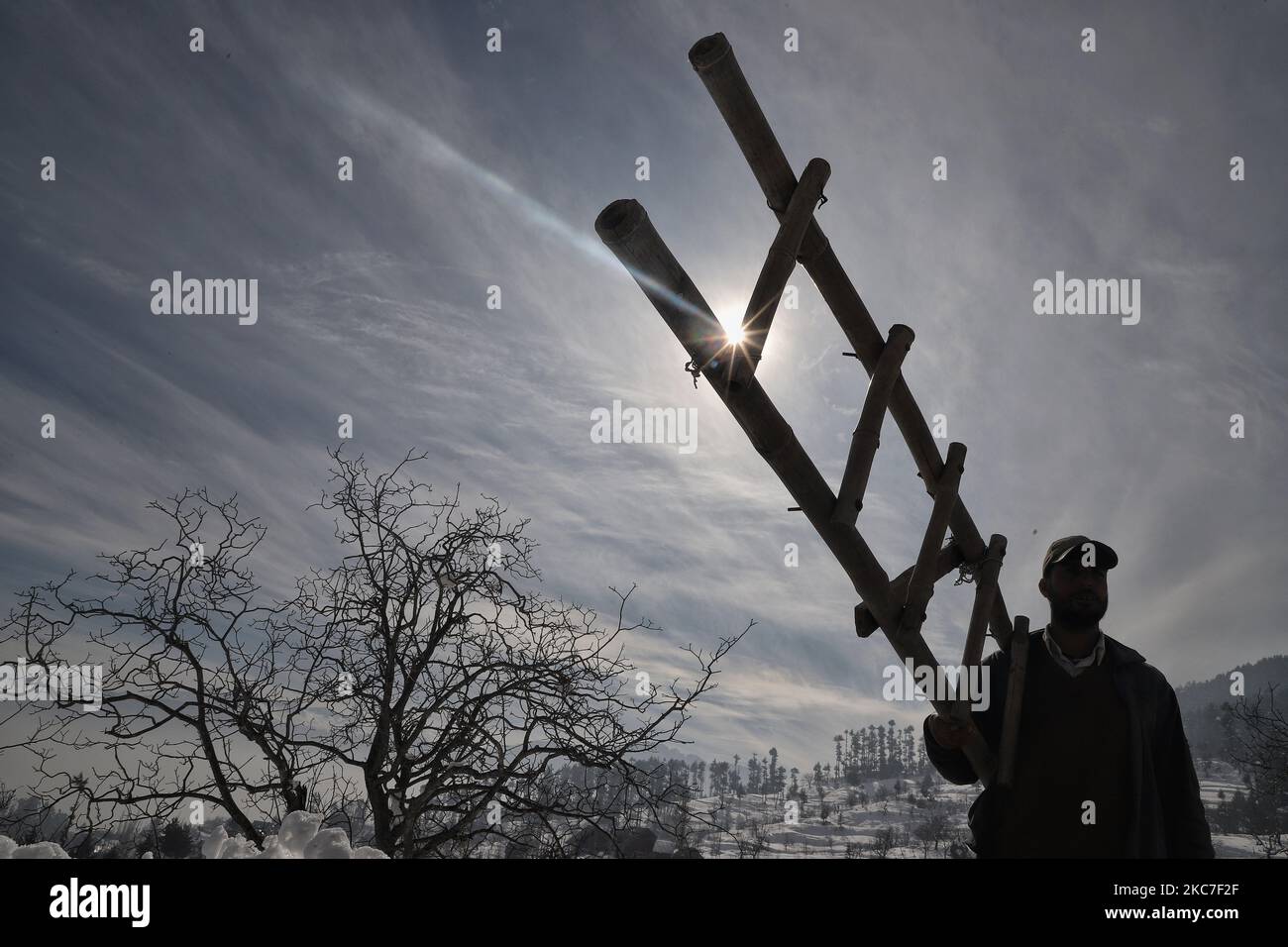 An Electricity Lineman (Worker) carries a ladder on his shoulders on ...