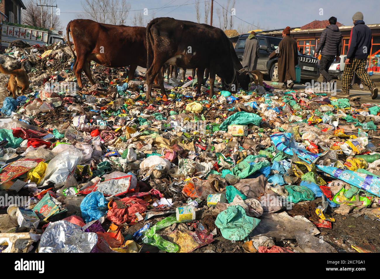 Heaps of Garbage, Stray Dogs are seen on the roadside in Sopore town of ...