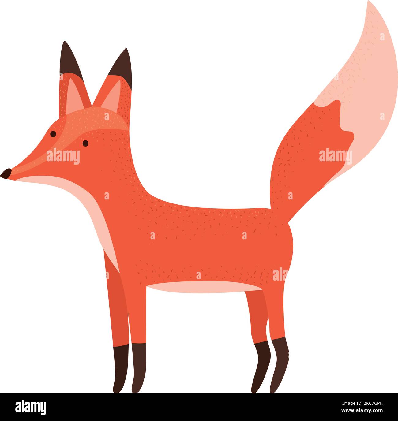 colored fox design Stock Vector Image & Art - Alamy