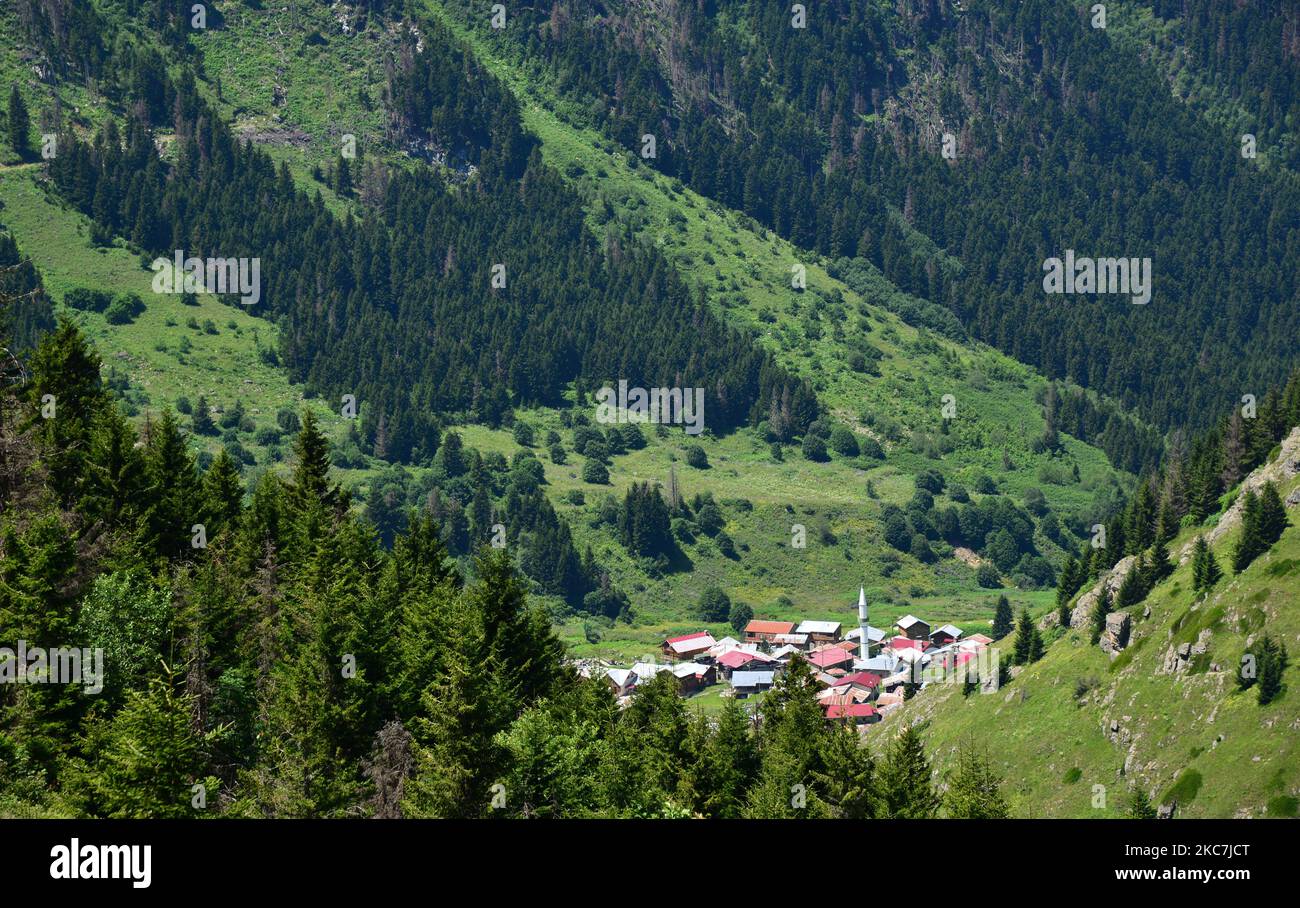 Elevit Plateau, located in Rize, Turkey, is one of the preserved ...