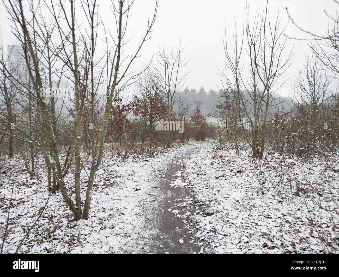 Daily life in the Netherlands with the first snowfall of the year ...