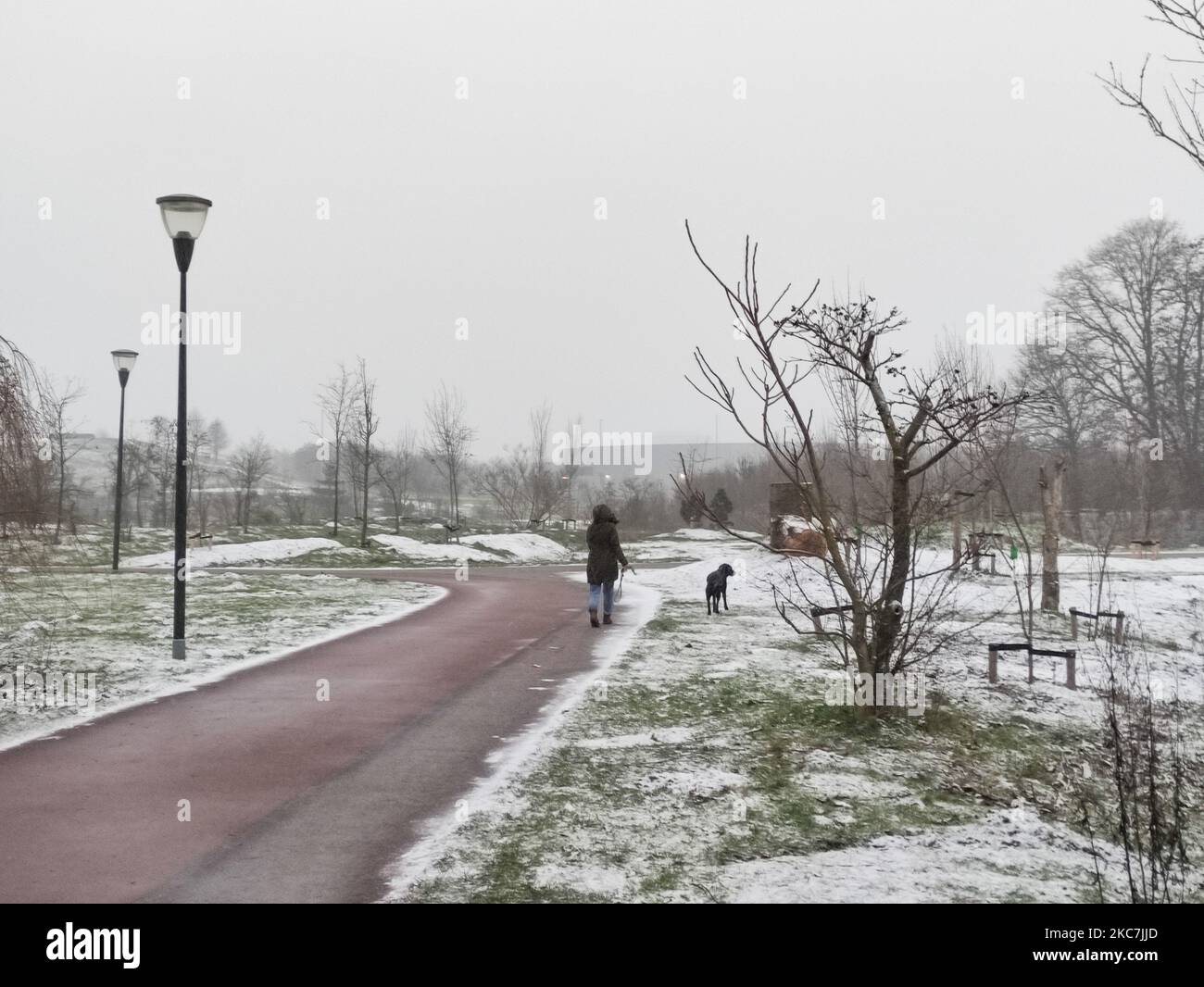 Daily life in the Netherlands with the first snowfall of the year ...