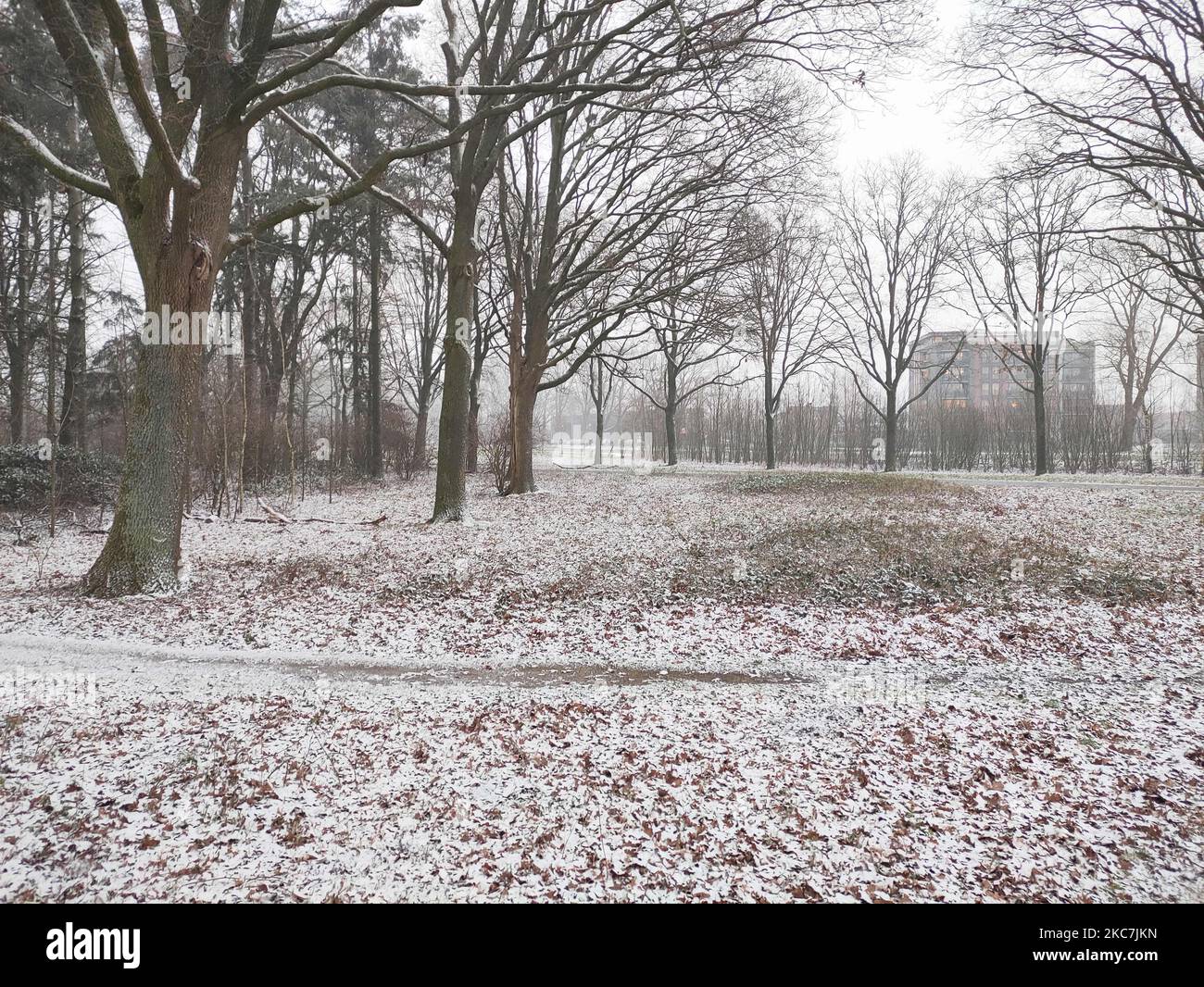 Daily life in the Netherlands with the first snowfall of the year ...