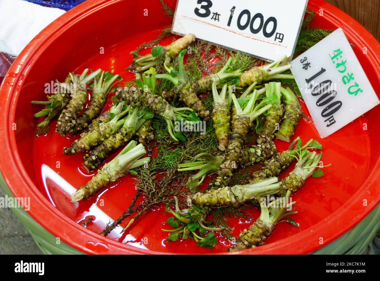 Fresh wasabi root for sale (three for 1000 yen) at the Daio wasabi farm ...