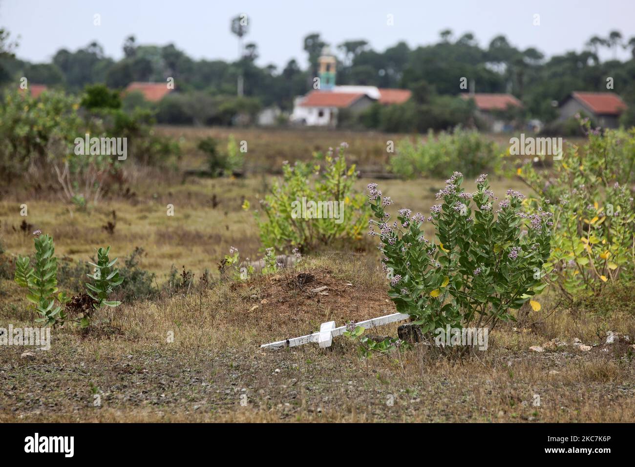 Toppled grave markers in a cemetery for LTTE (Liberation Tigers of ...