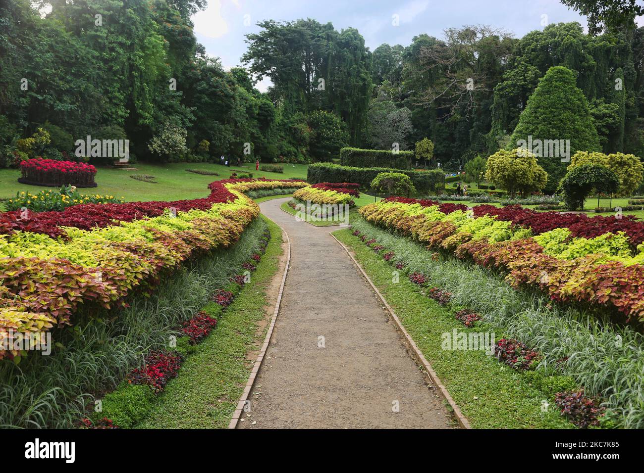 Royal Botanical Gardens in Peradeniya, Sri Lanka. The Royal Botanical ...