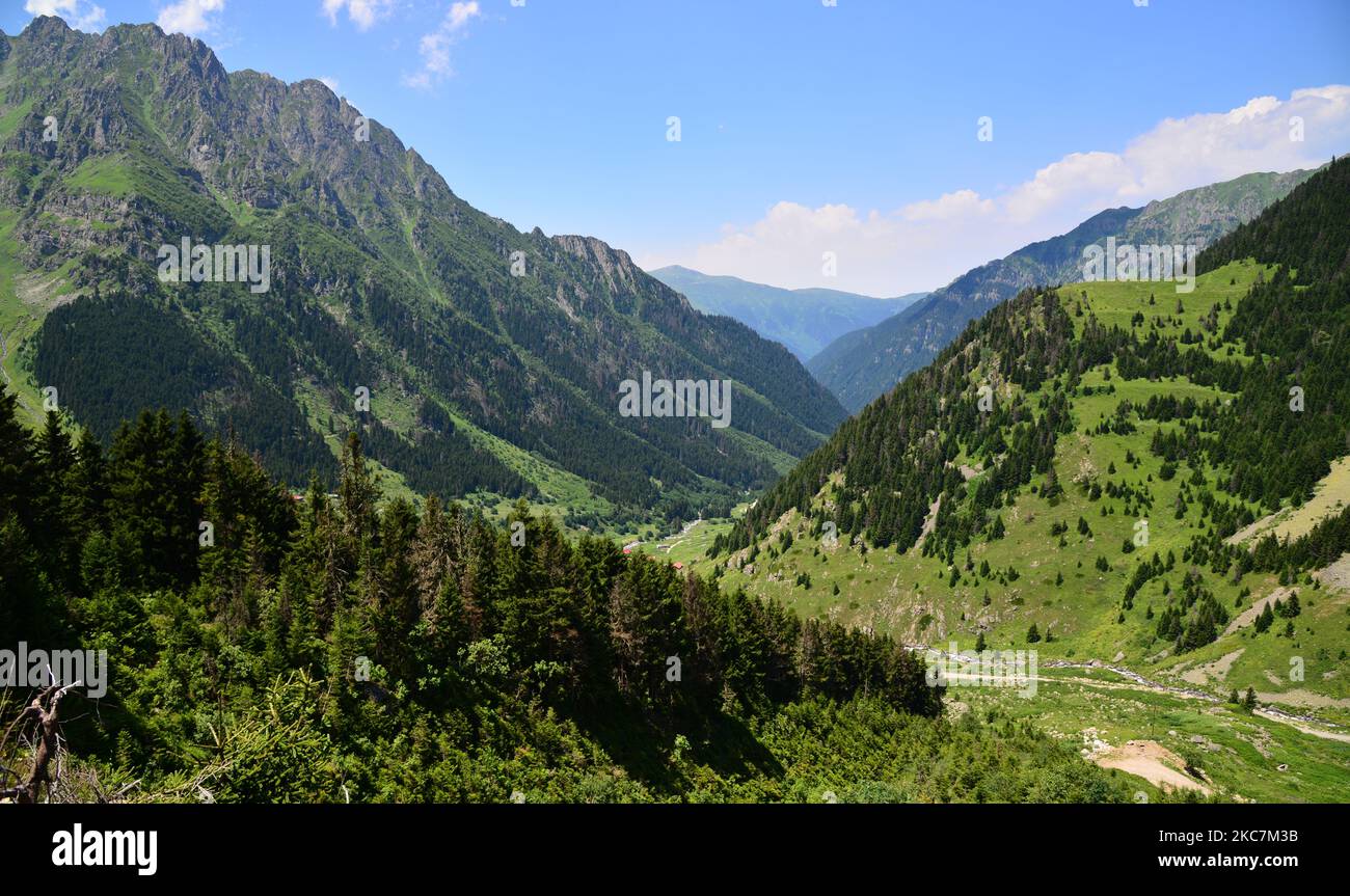 Elevit Plateau, located in Rize, Turkey, is one of the preserved ...