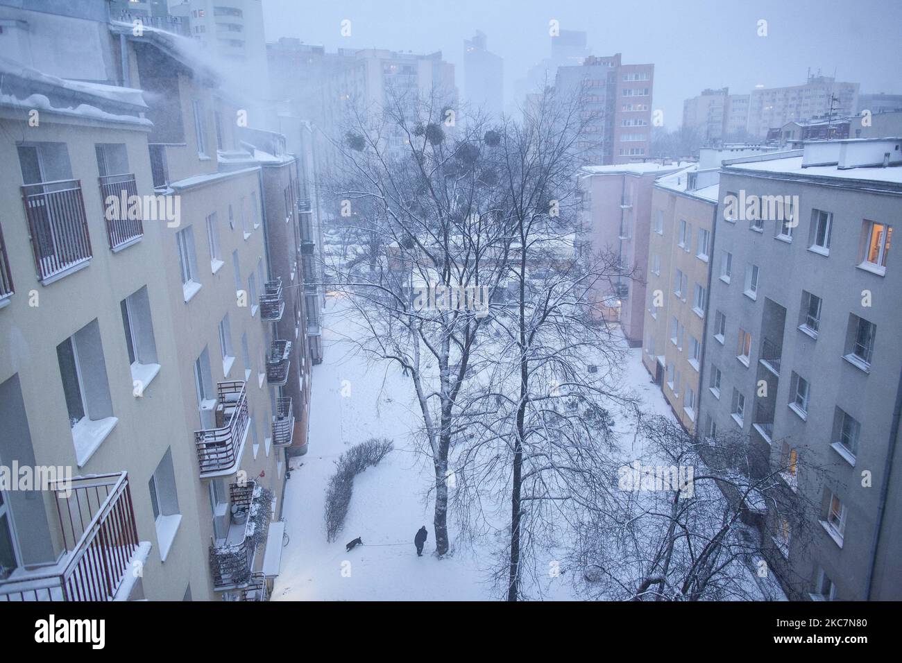 Snowfall seen in Warsaw, Poland on November 17, 2021. (Photo by Maciej ...
