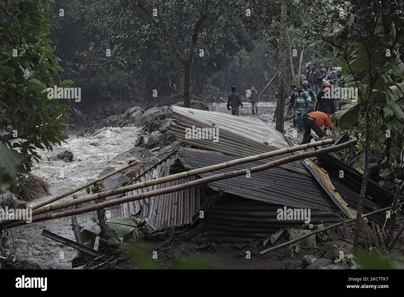 Gunung mas puncak hi-res stock photography and images - Alamy