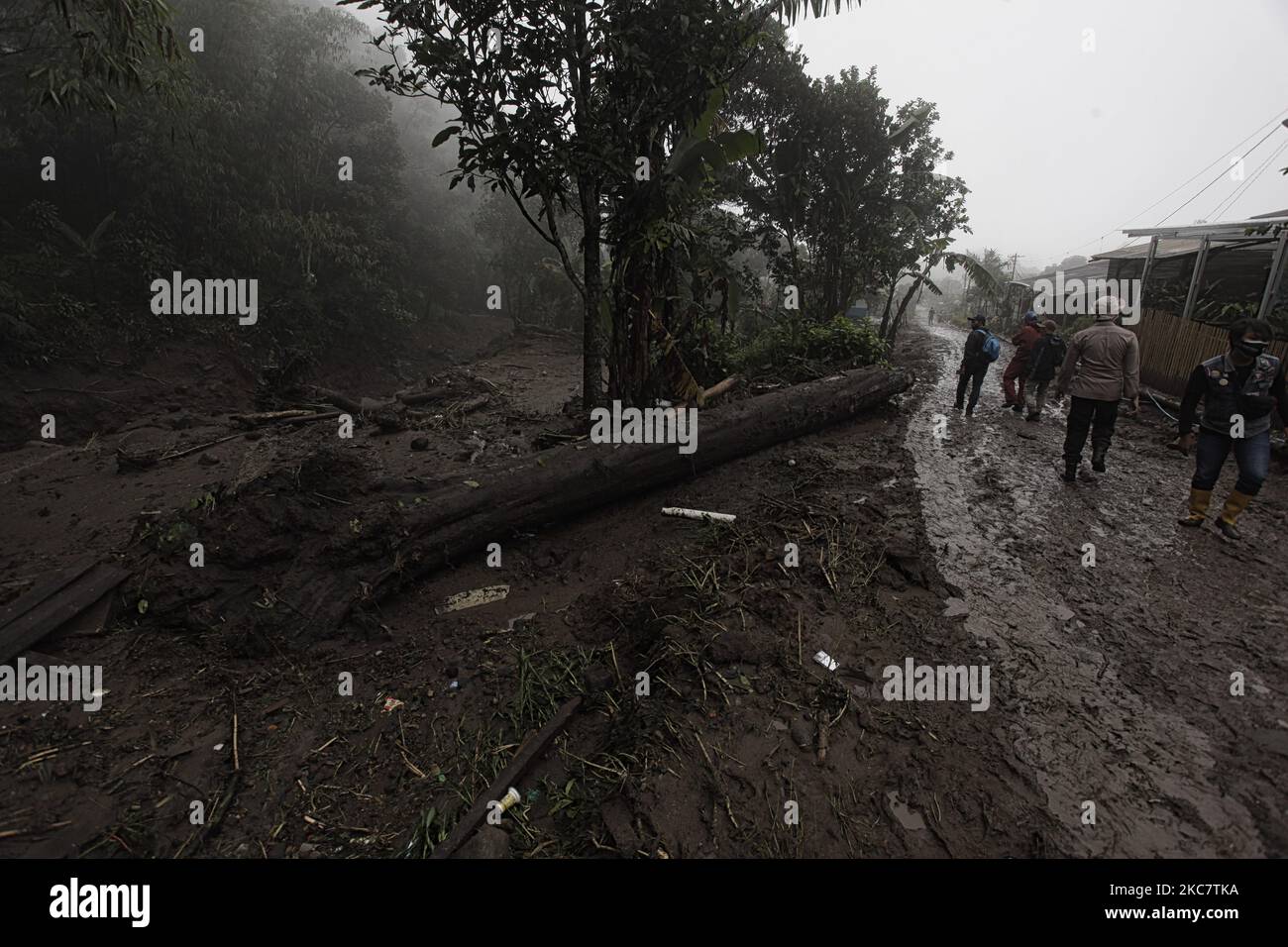 Gunung mas puncak hi-res stock photography and images - Alamy