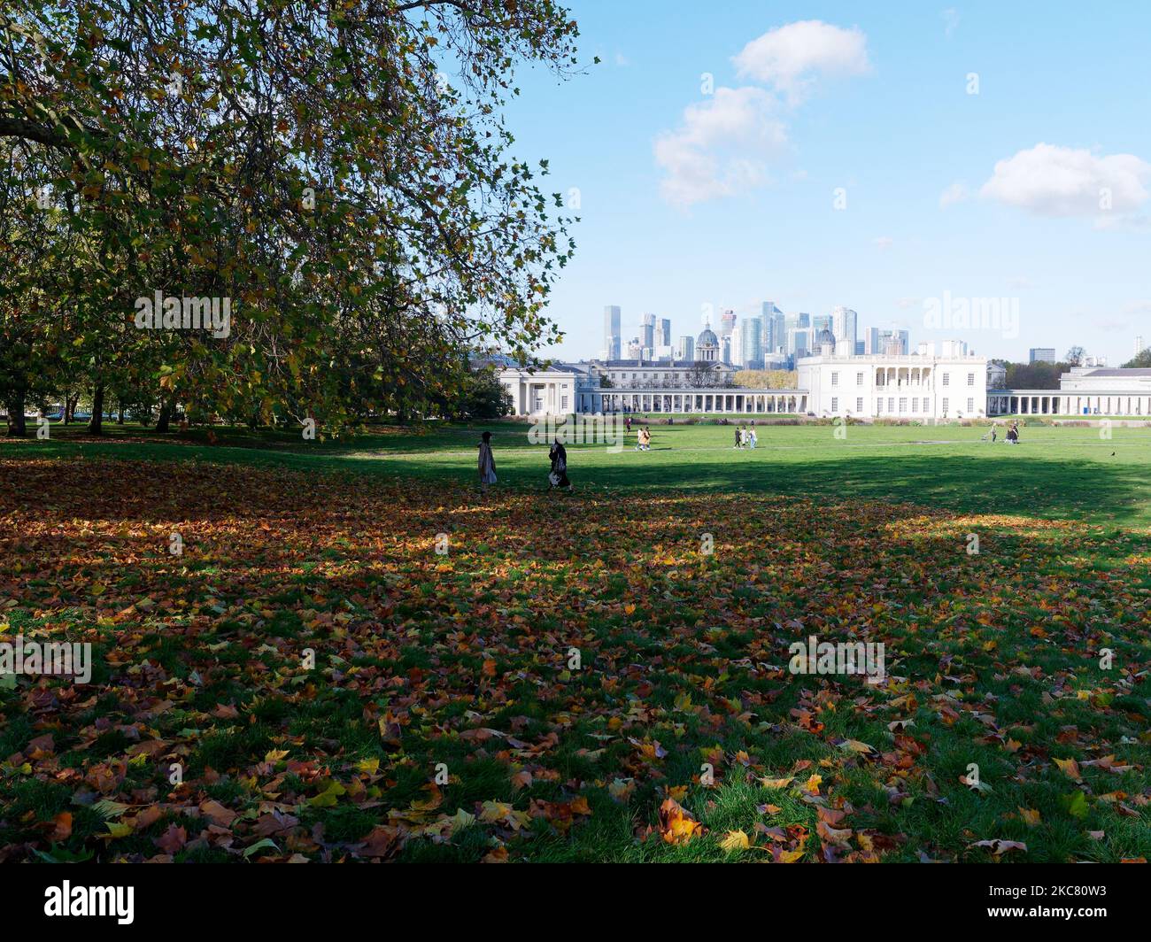 Greenwich Park in the autumn with leaves on the ground, looking towards ...