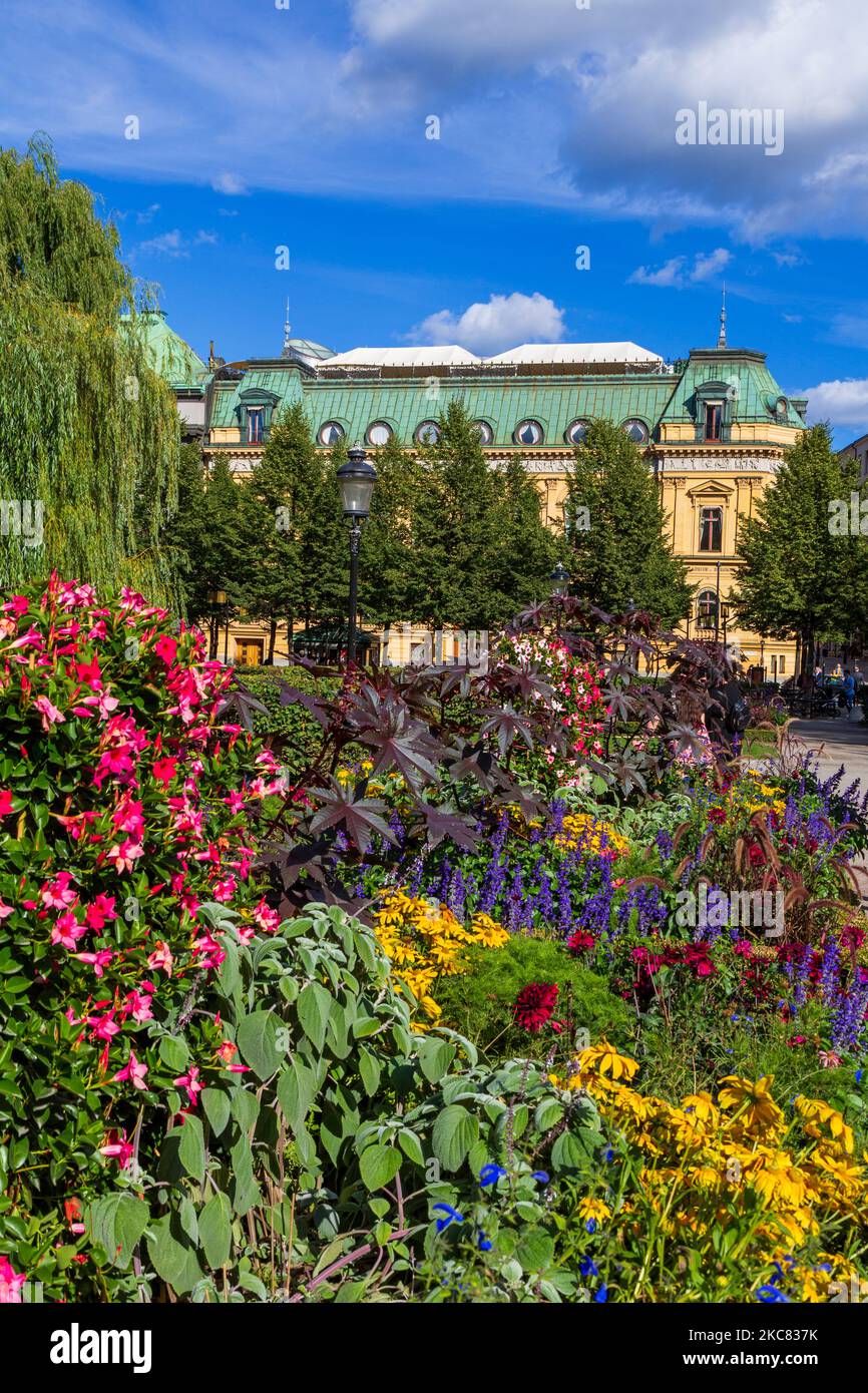 Flowers, Kungstradgarden,Stockholm, Sweden, Scandinavia Stock Photo - Alamy