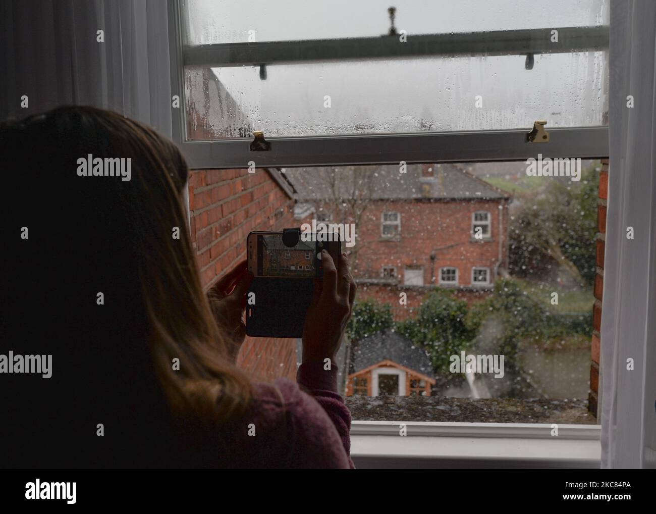 Folling disease hi-res stock photography and images - Alamy