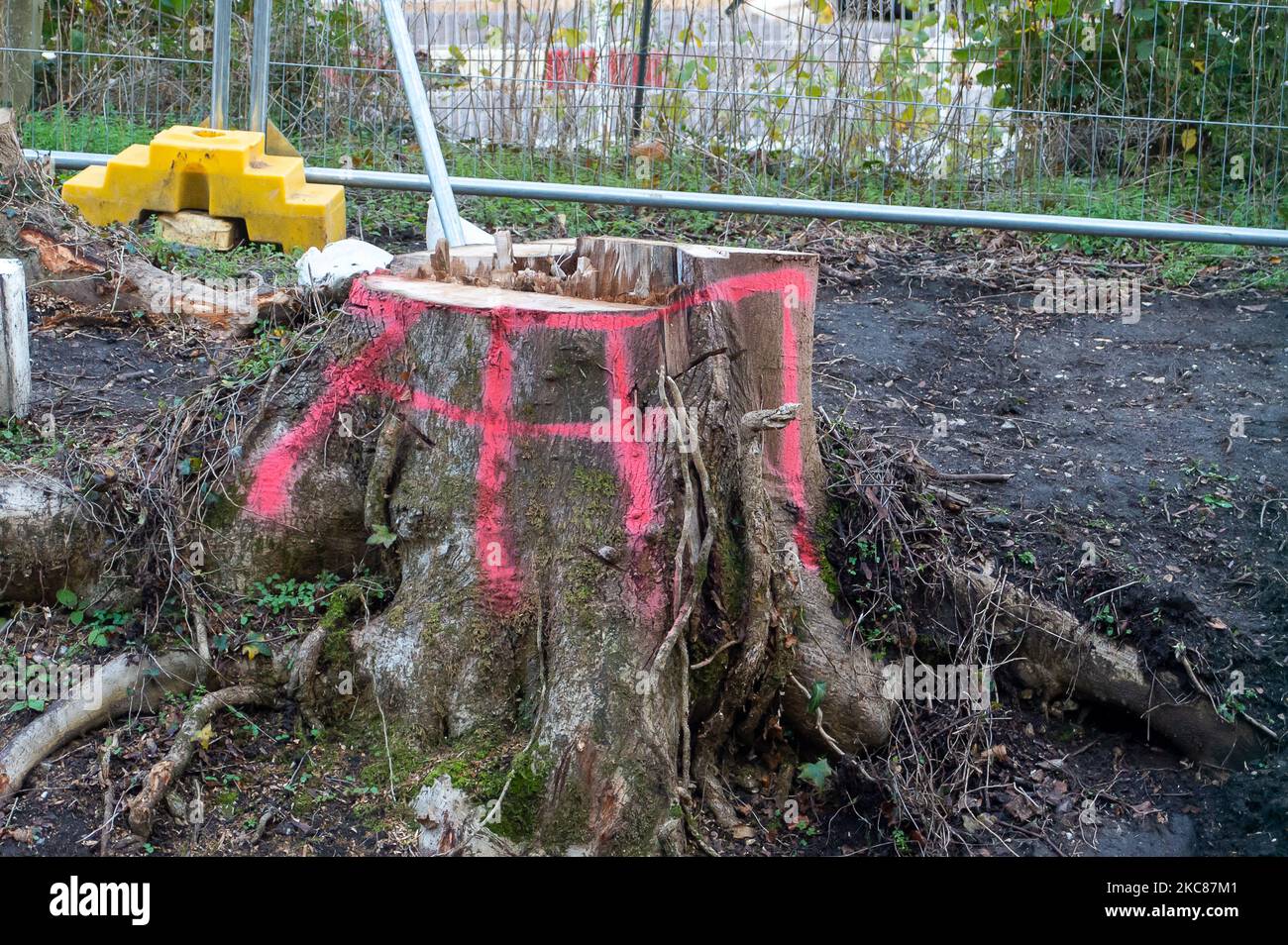 Long line tree stumps hi-res stock photography and images - Alamy