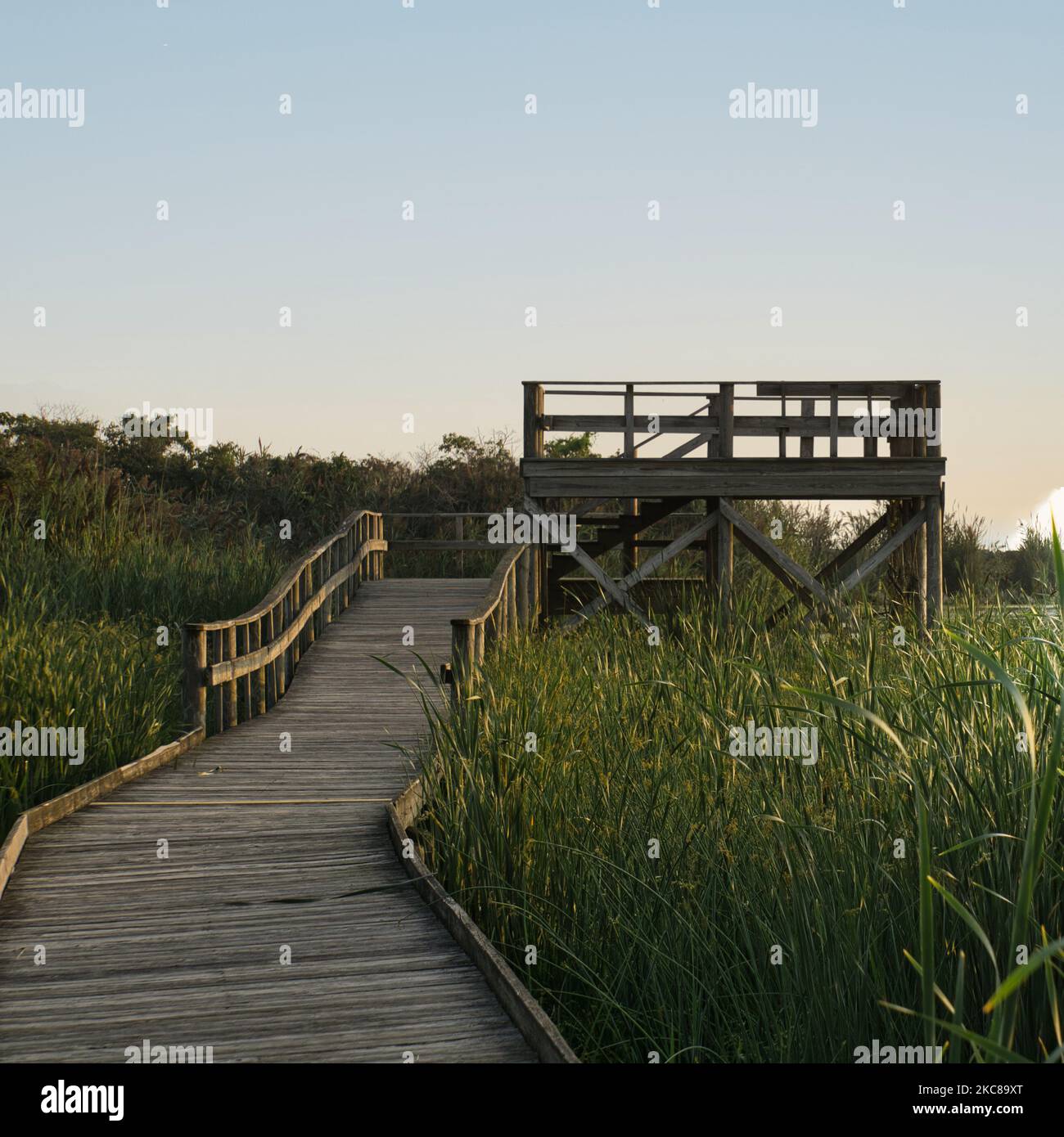A beautiful view of a deck surrounded by greenery at sunset Stock Photo ...