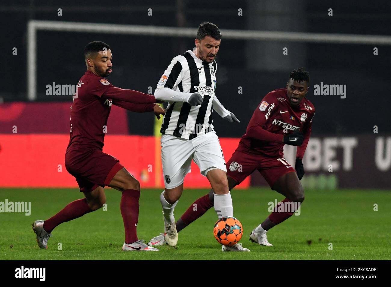 Astra budescu hi-res stock photography and images - Alamy