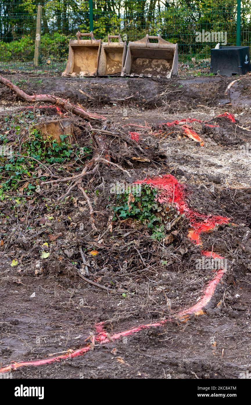 Wendover, Buckinghamshire, UK. 4th November, 2022. Trees felled by HS2 ...