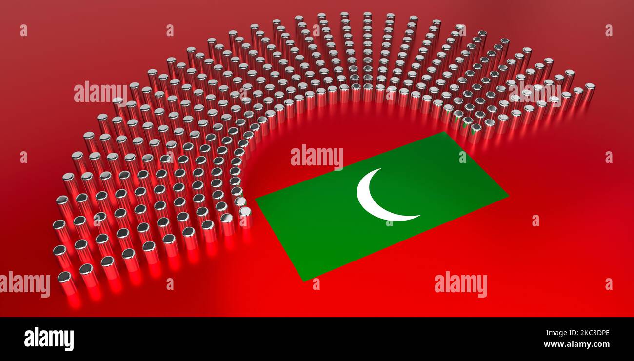 Maldives flag - voting, parliamentary election concept - 3D ...