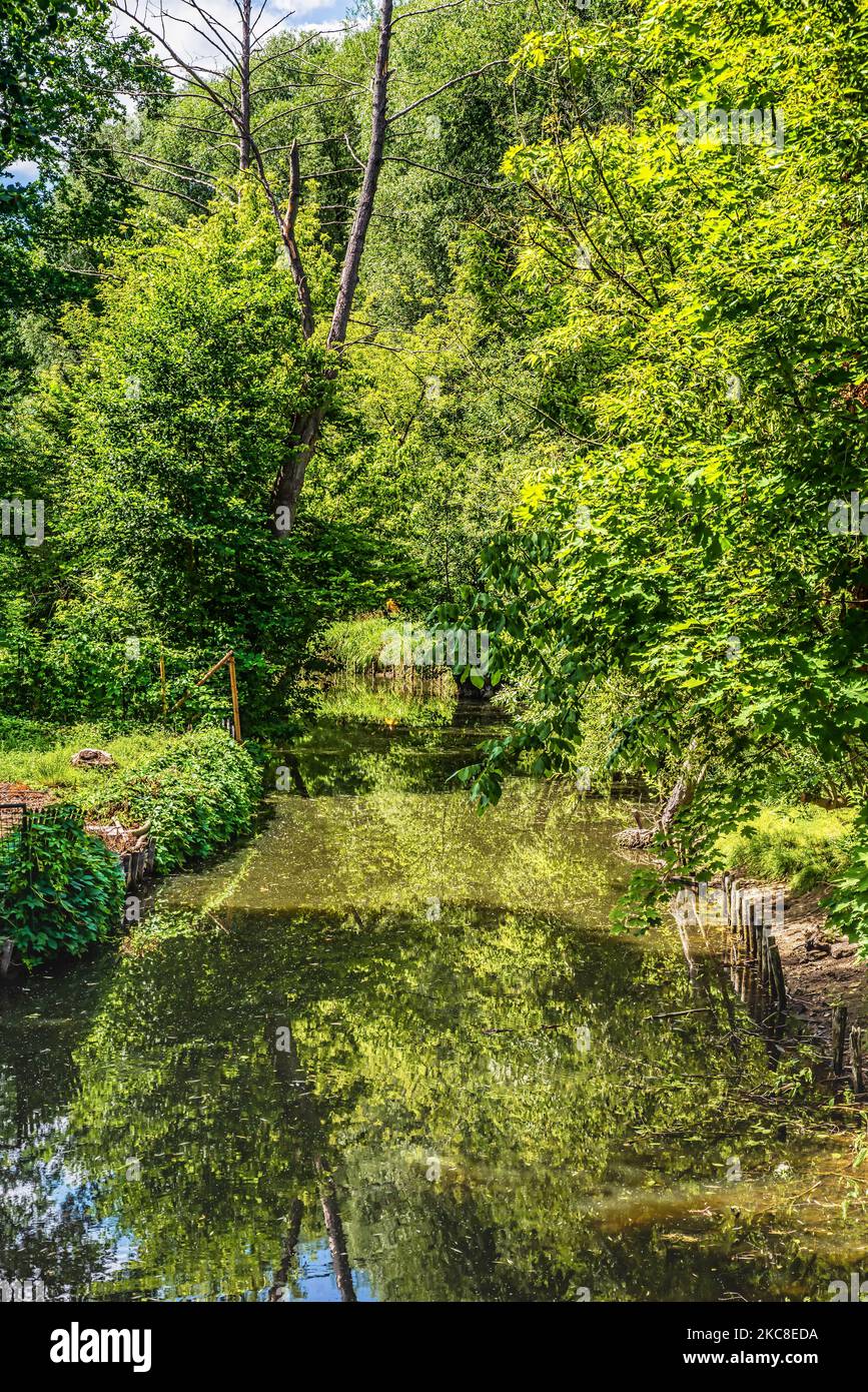 A vertical of a nature reserve valley in Berlin Stock Photo - Alamy