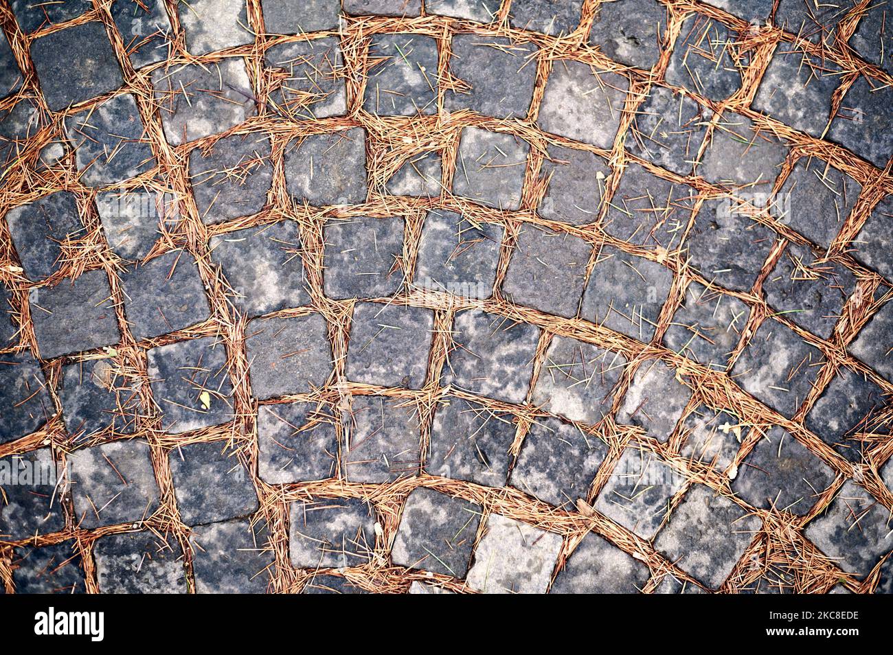 A top view of beautiful stone tiles isolated with grass in between ...