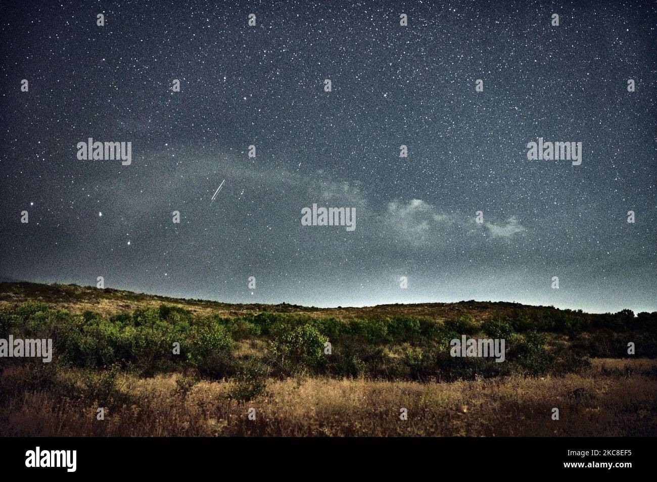 A longs exposure shot of the scenic sky with lots of stars above grass ...