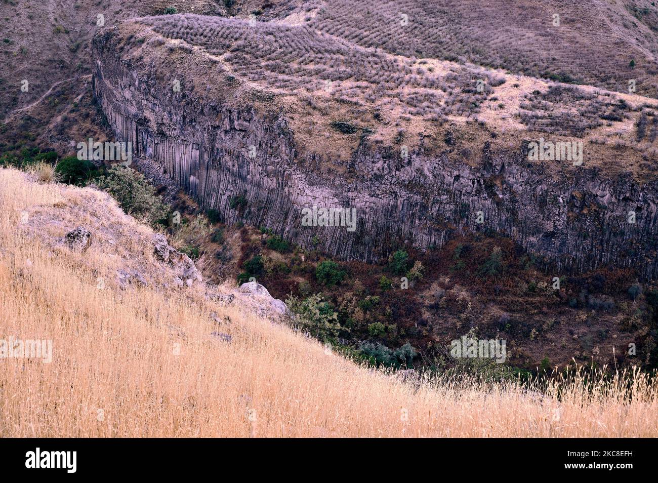 A scenic shot of a canyon with basalt stone surrounded by grass fields ...