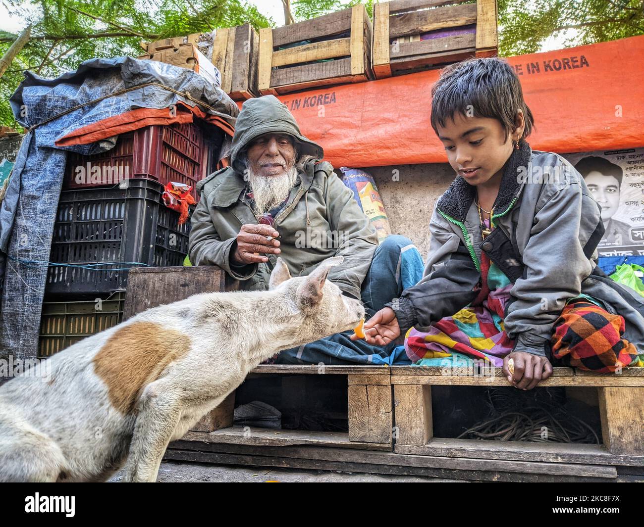 A street child feeding a dog on street in Dhaka, Bangladesh on 31 ...