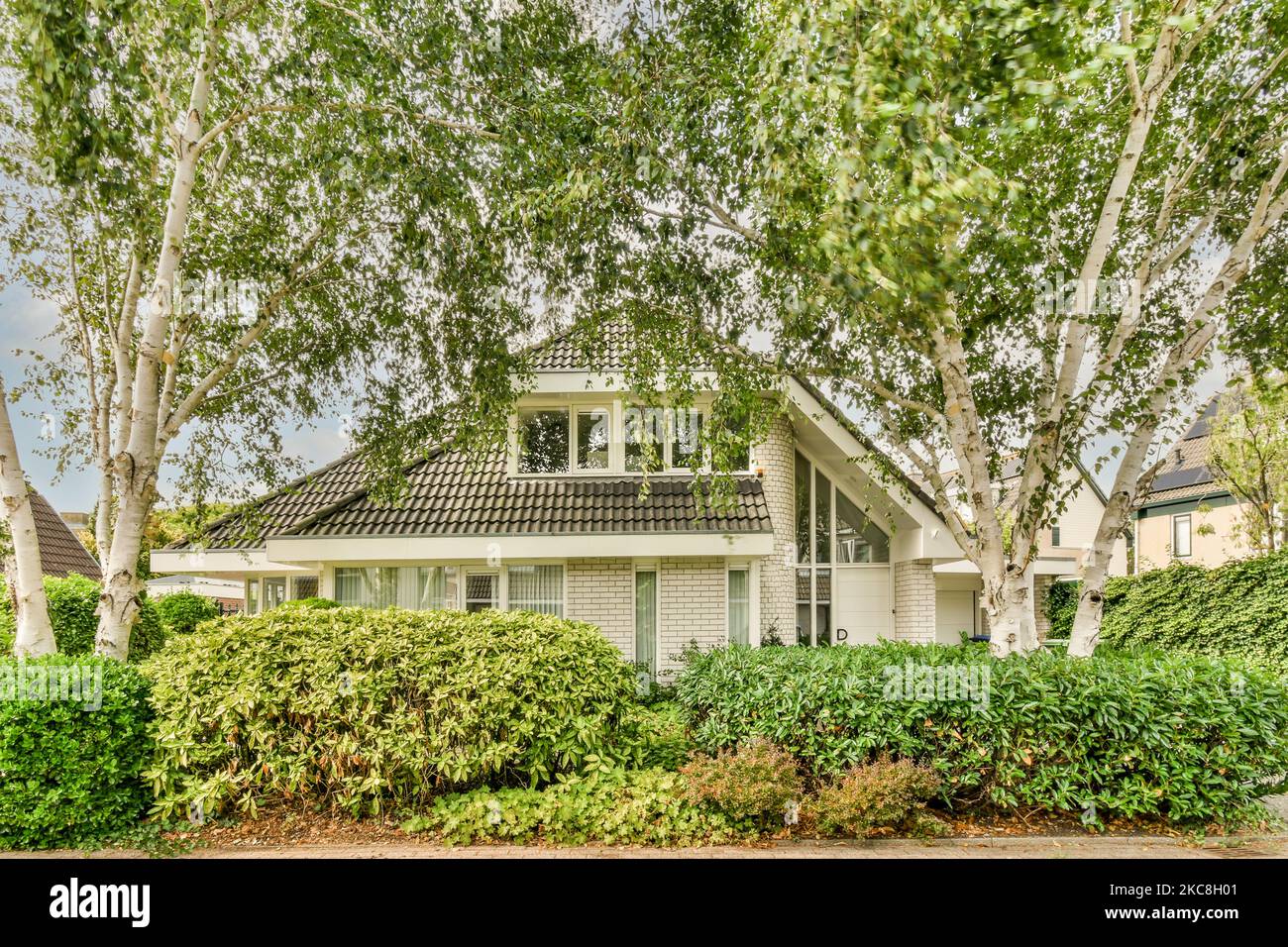 View of street near building with beauty of vegetation outside Stock ...