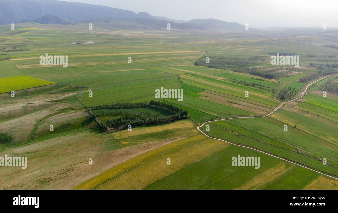 An aerial view of green meadows and fields Stock Photo - Alamy