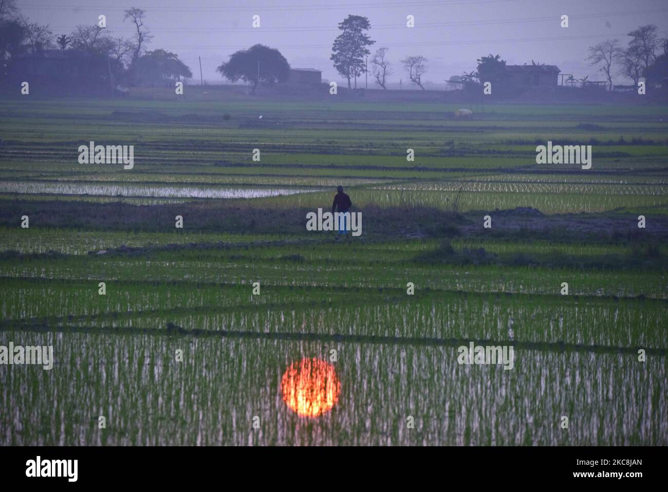 Mayong village hi-res stock photography and images - Alamy