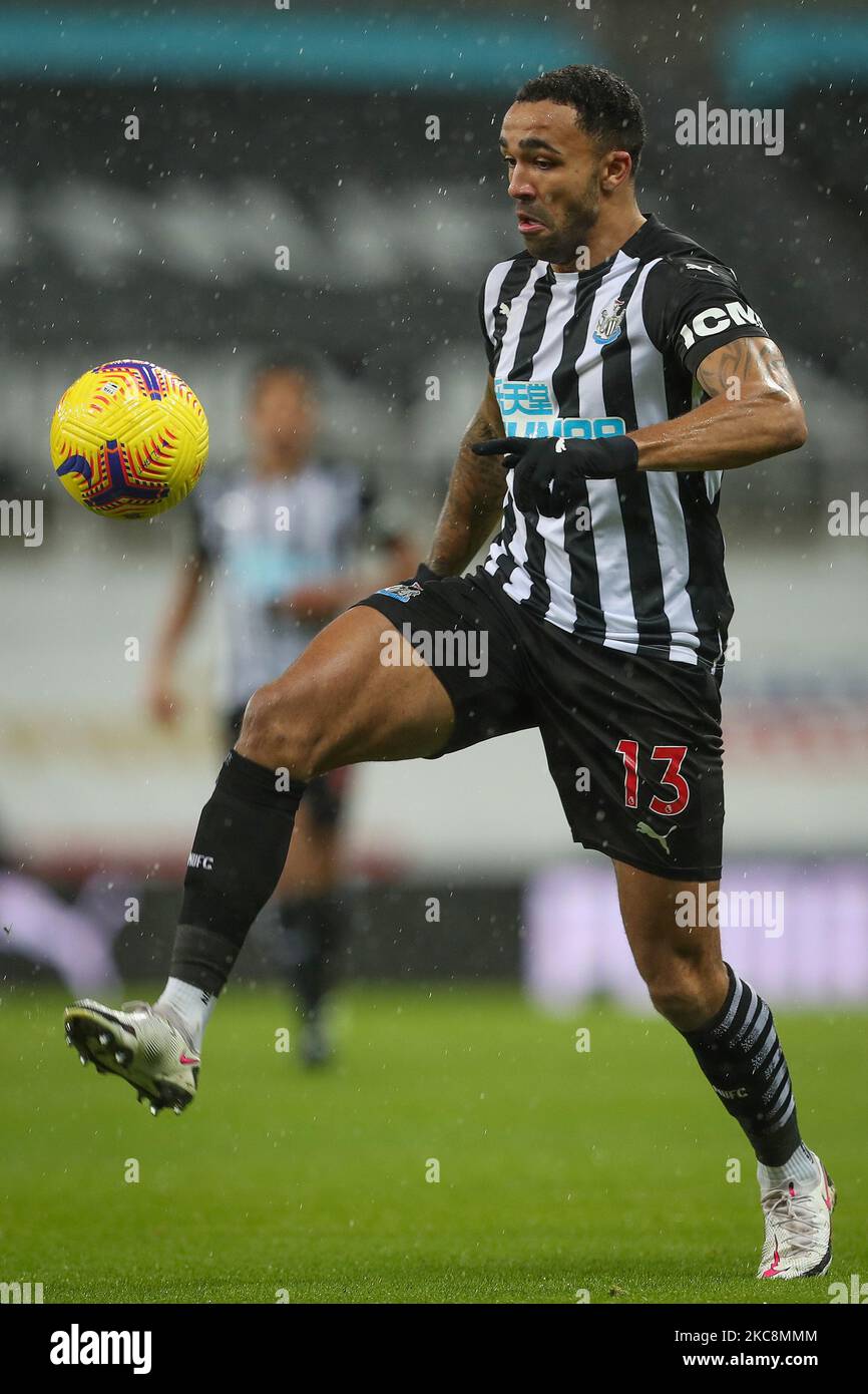 Callum Wilson of Newcastle United during the Premier League match ...