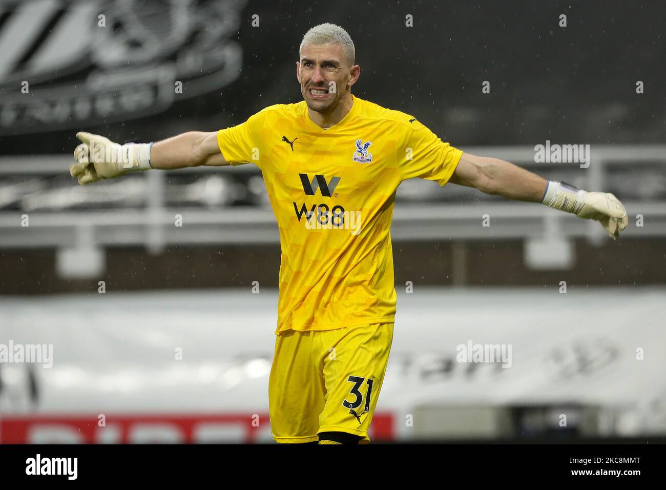 Vicente Guaita of Crystal Palace during the Premier League match ...