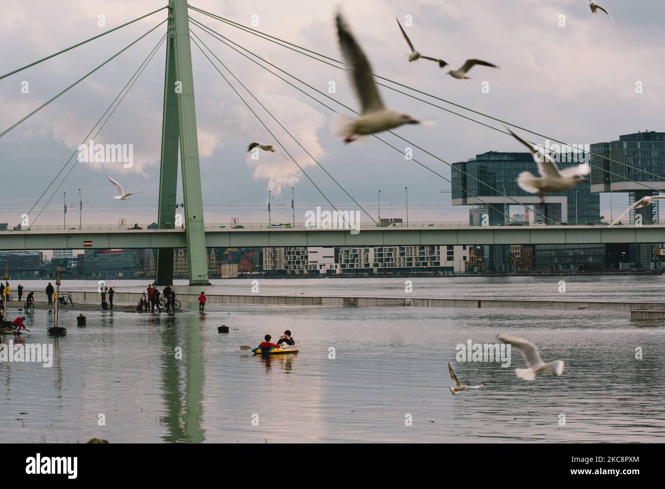 people takes boat at flooded area as Rhine river water level reaches to ...