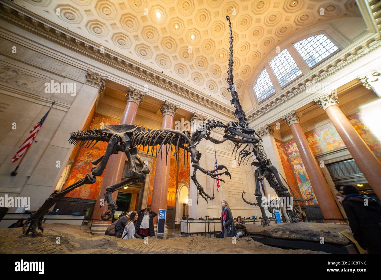 Wide angle view inside the Theodore Roosevelt Rotunda, the main ...