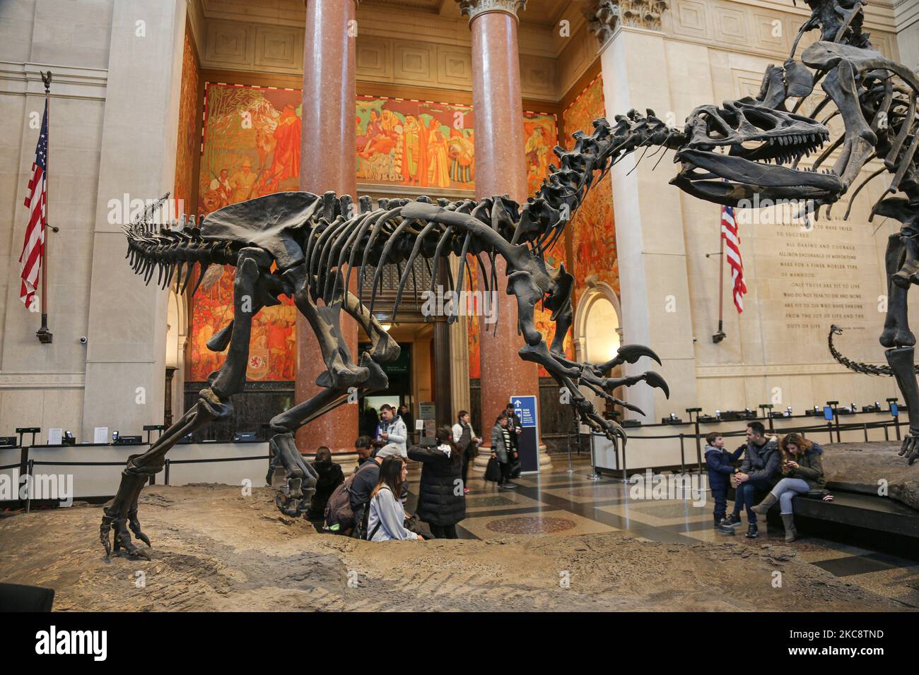 Smithsonian national museum of natural history rotunda hi-res stock ...