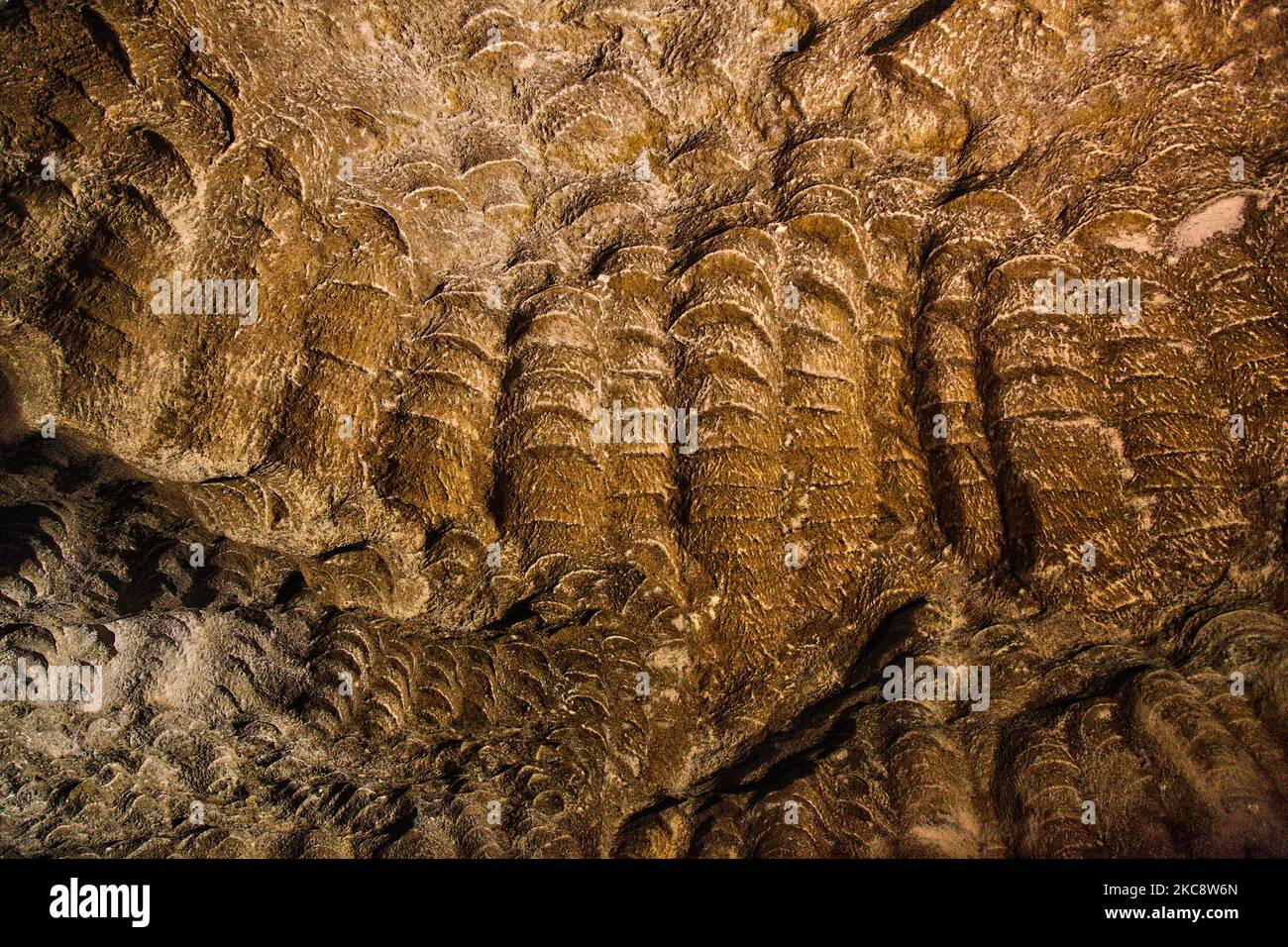 Detail of the ceiling in the Caves of Hercules (Grottes d'Hercule) in ...