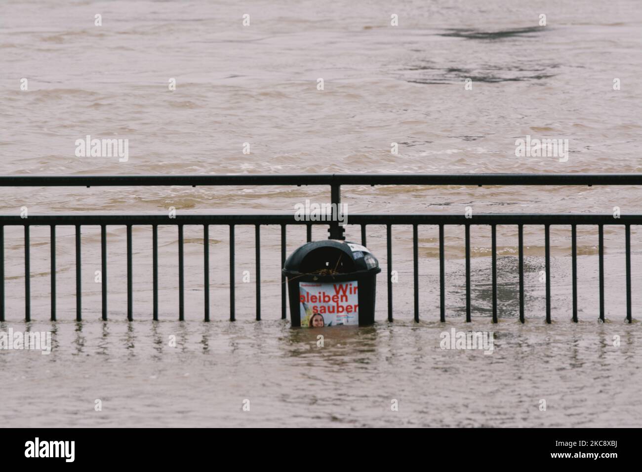 a gabbage can is seen flooded in the water as Rhine water level keeps ...