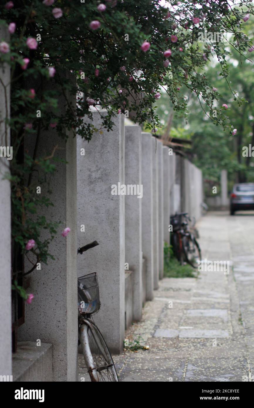 A vertical shot of a bike leaning on a stone column under a blooming ...