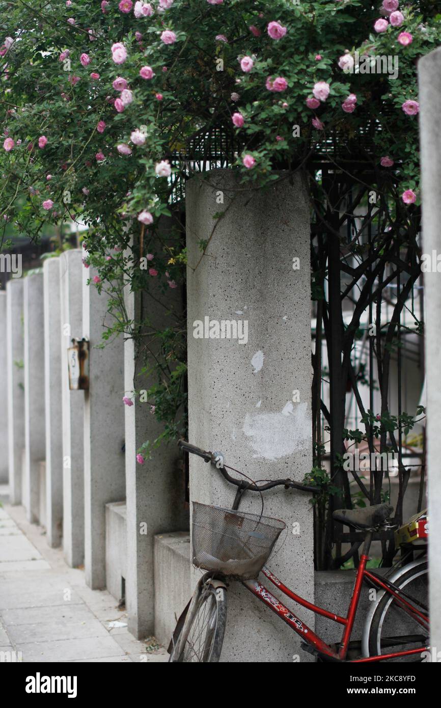 A vertical shot of a bike leaning on a stone column under a blooming ...