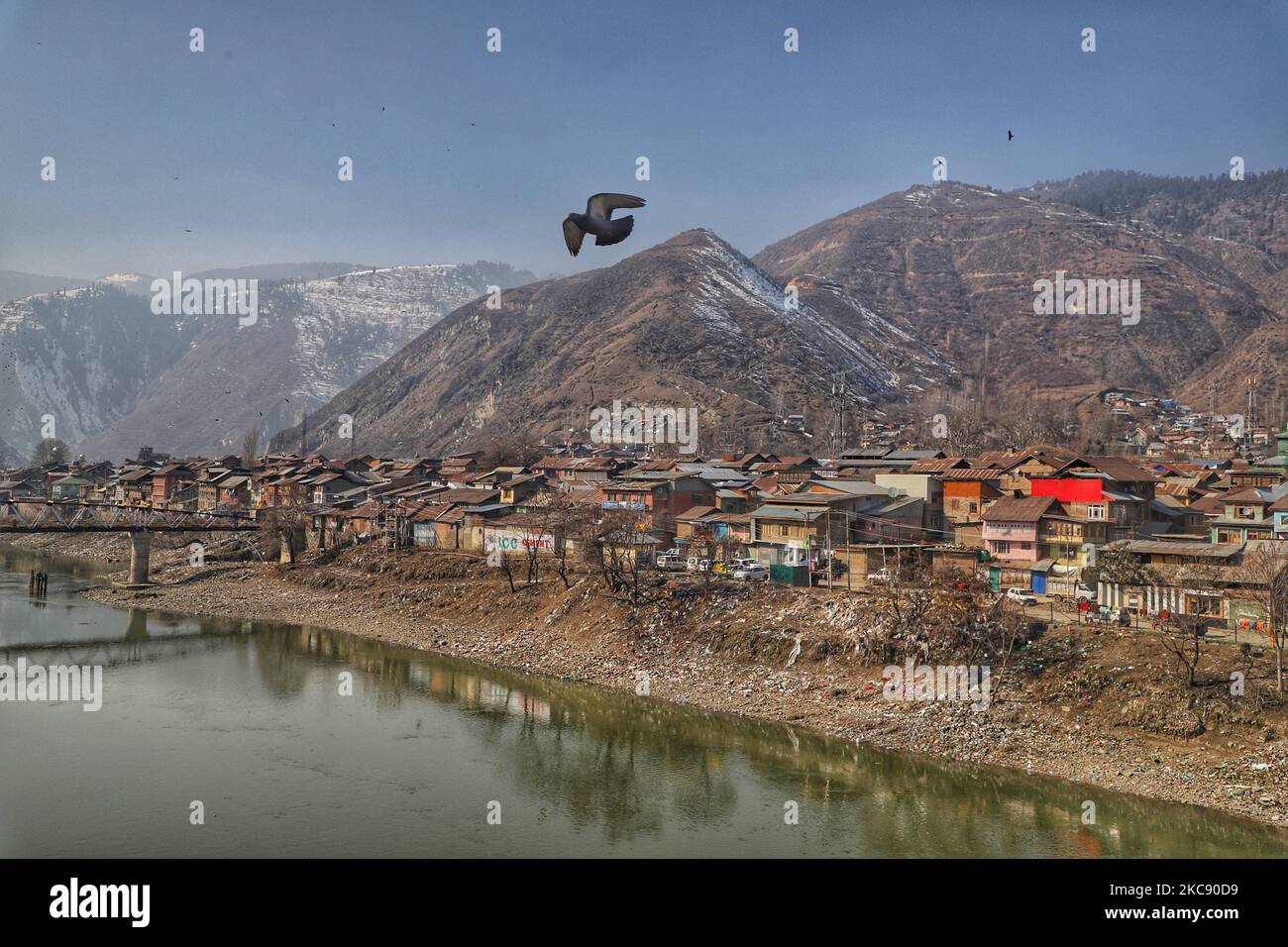 A Pigeon Flies over River Jehlum as residential and Commercial ...