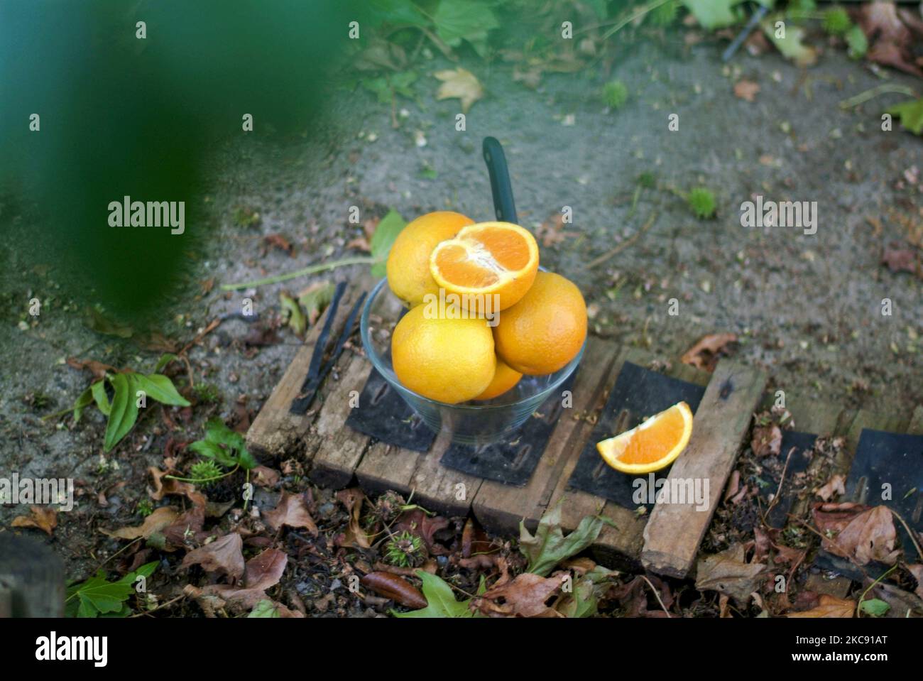 A high angle shot of a bowl of juicy oranges and a halved orange in a ...