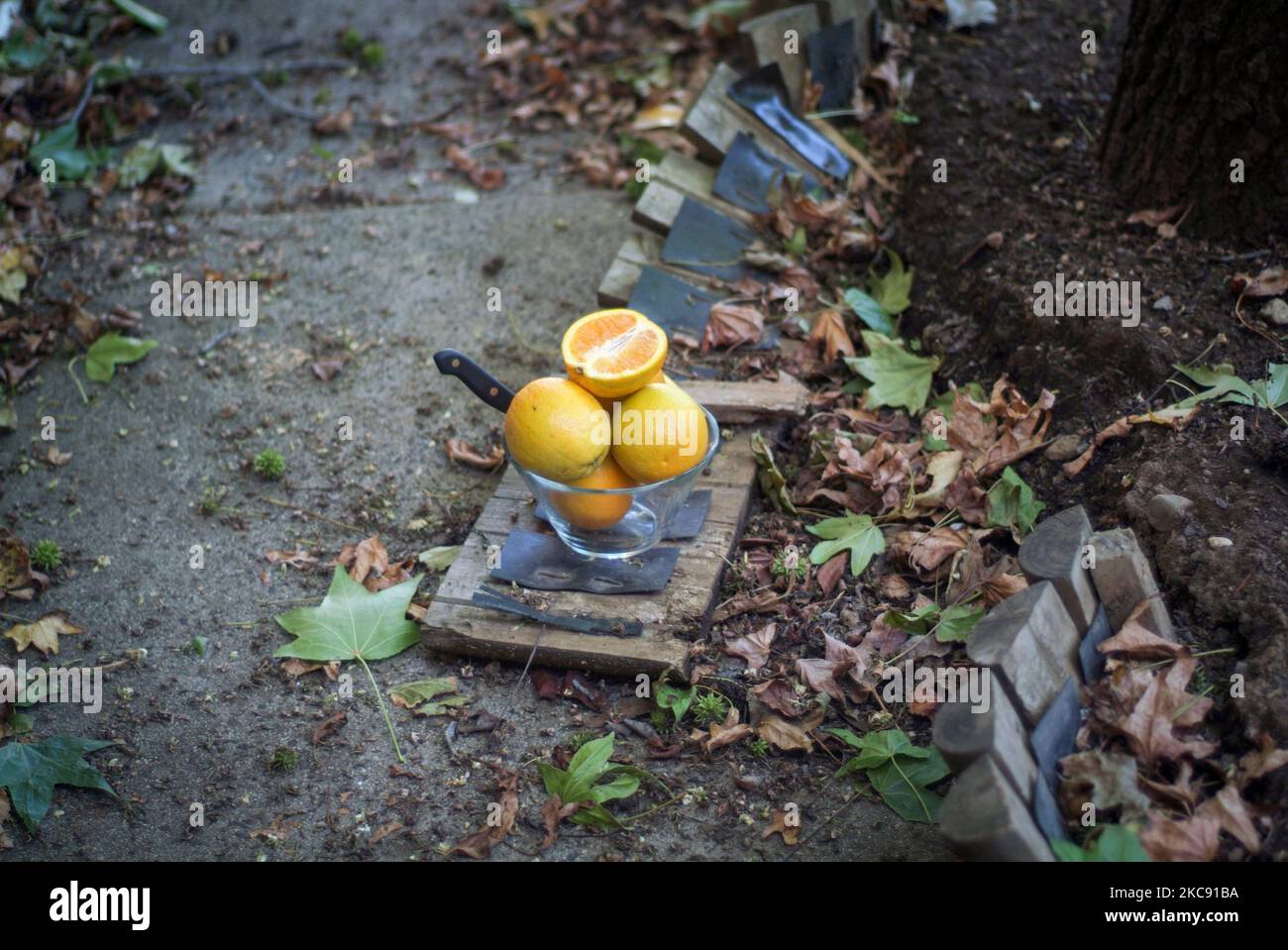 A high angle shot of a bowl of juicy oranges and a halved orange in a ...