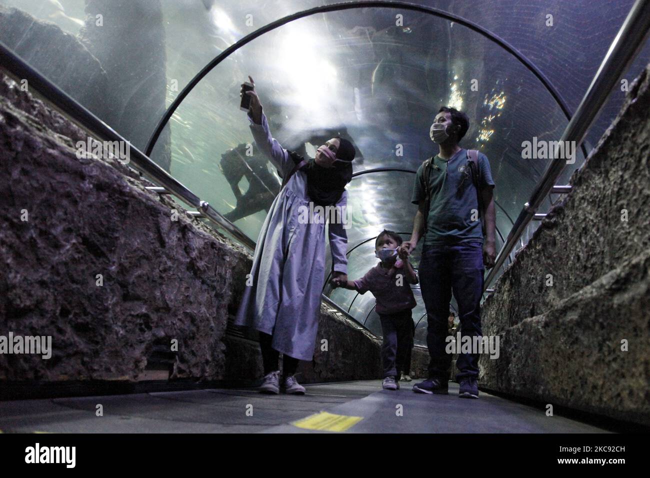 Visitors wearing protective face mask as they visit Giant Aquarium at ...