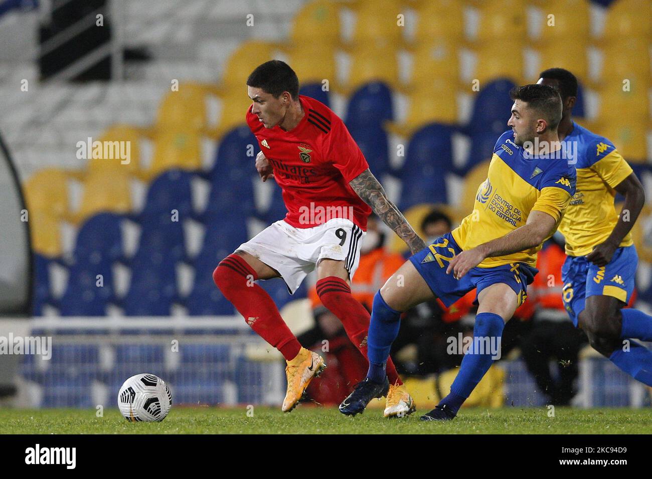 Darwin escapes hi-res stock photography and images - Alamy