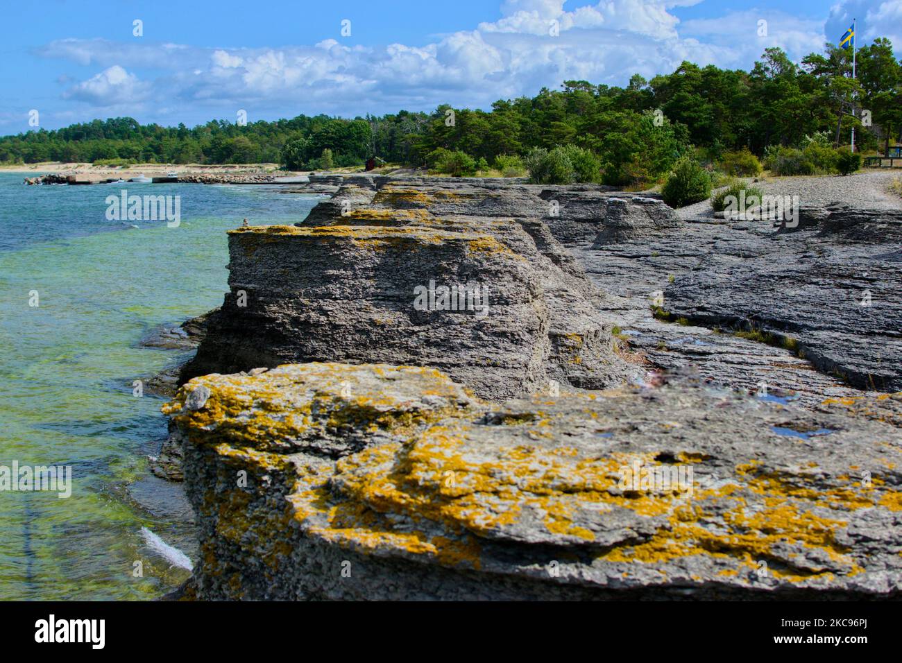 A Rocky cliff with green trees, blue sea and Sweden flag in the ...